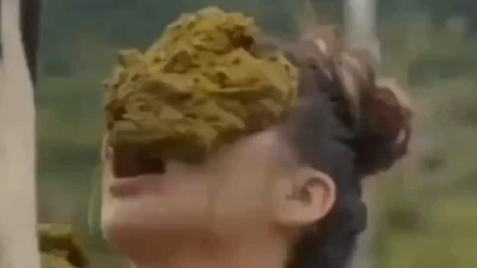 Woman bites cow's tail Video goes viral | பால் கறக்கும்போது முகத்தில் ...