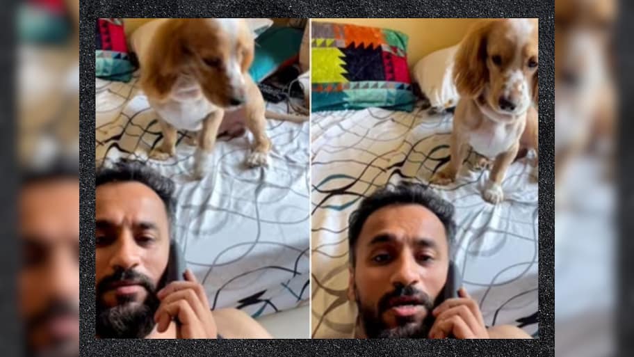 Funny Viral Video: Awesome Dog Reaction Steals Hearts | கொஞ்சோ கொஞ்சுனு ...