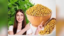 Fenugreek Seeds News in Tamil, Latest Fenugreek Seeds news, photos ...
