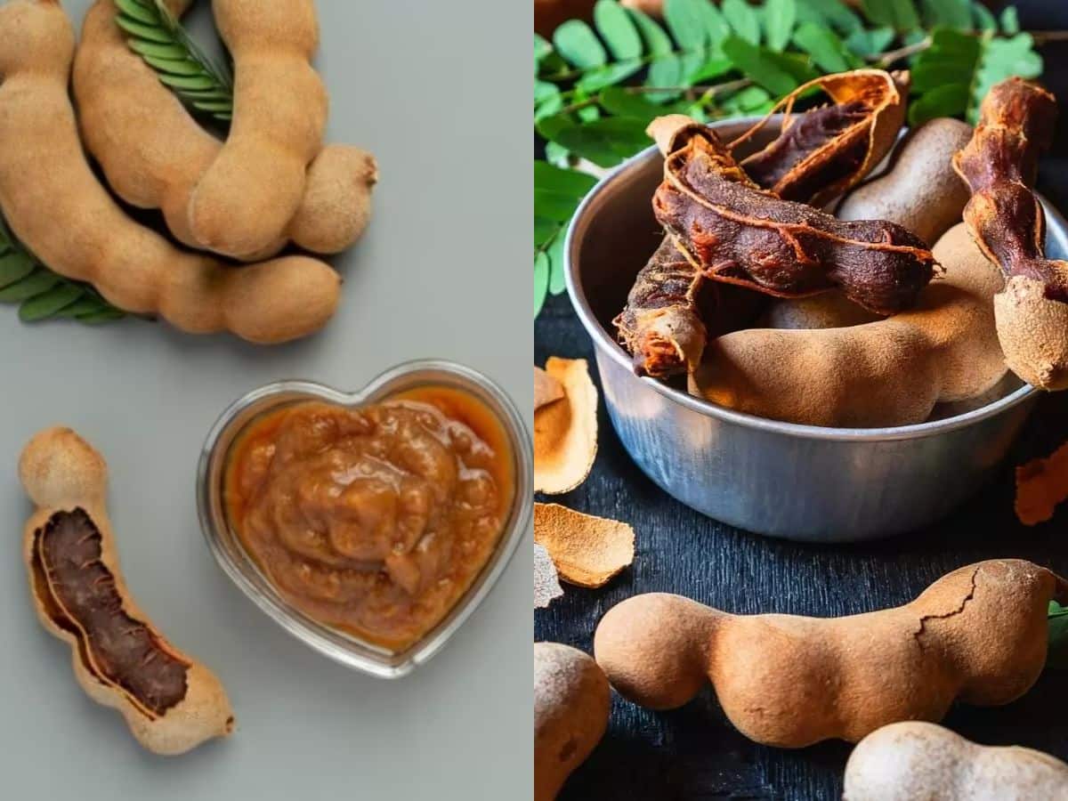 How Tamarind Boosts Sperm Count: Health Benefits Of Sour Taste Fruit ...