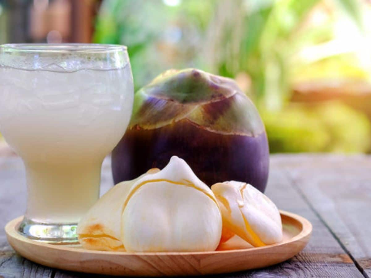 Is Palm Toddy Alcoholic Beverage: Where To Buy Palmyra Fruit Juice ...