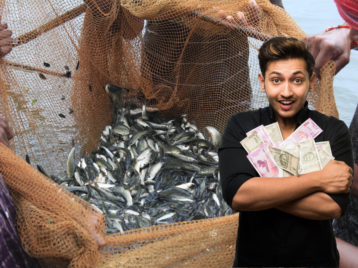 Business Idea: Fish Farming Business | ₹25,000 போதும்... மாதம் தோறும் ...