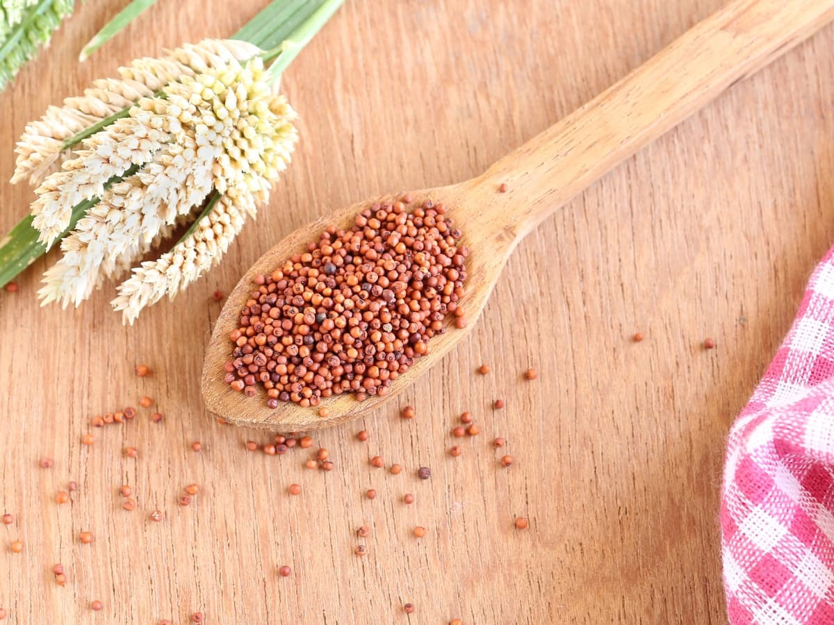 Health Benefits & Side Effects of RAGI | சிறு தானியங்களின் ராணியான ...