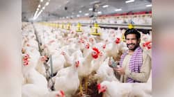 Poultry Farm News in Tamil, Latest Poultry Farm news, photos, videos ...