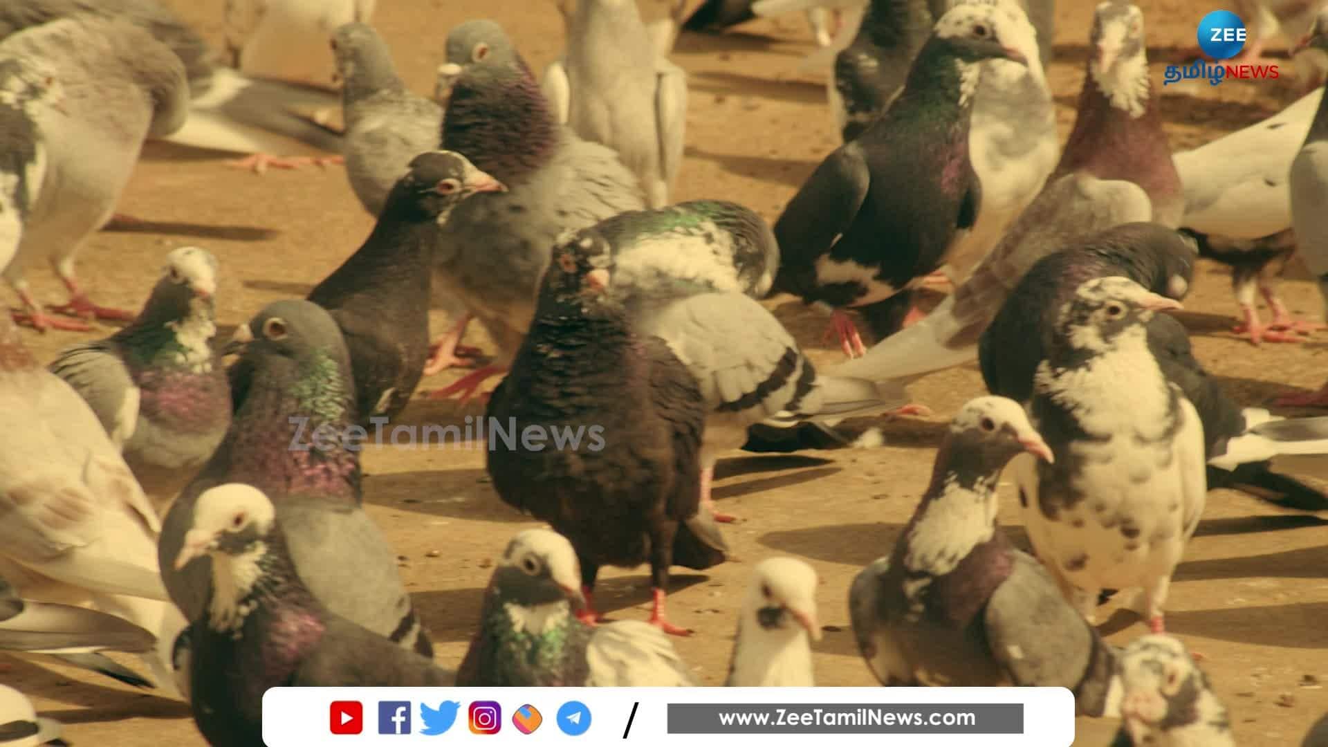 Byri Tamil Movie Genuine Review Gangster Story | News in Tamil