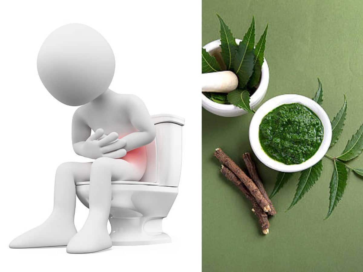 How To Recover From Constipation Problem Eat These 5 Herbal Leaves To ...