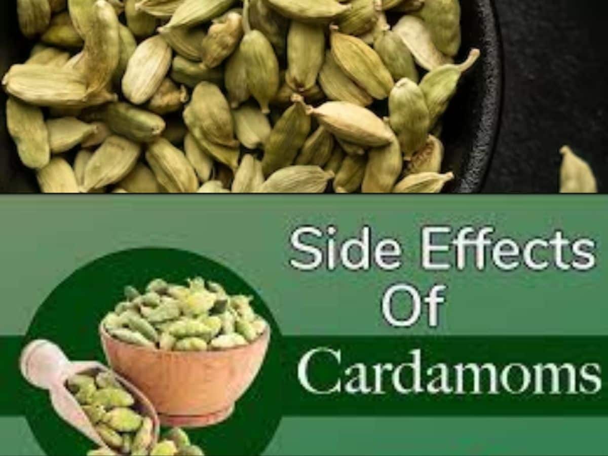 Elaakai Side Effects And Its Disadvantages If Its Taken More Than ...