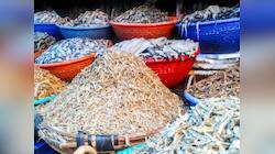 protein rich dry fish News in Tamil, Latest protein rich dry fish news ...