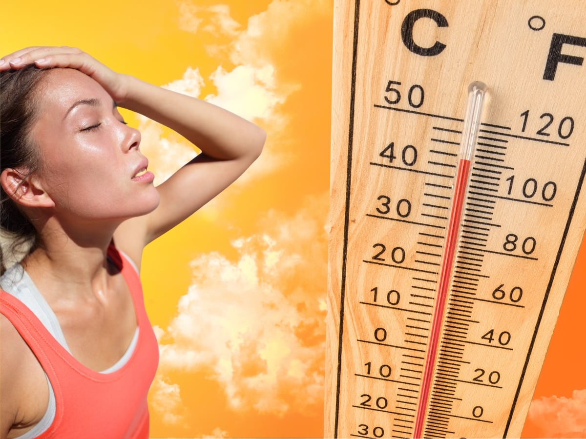 Foods that help us to Keep the body Cool in Summer | Summer Tips: கடும் ...