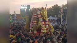 Madurai Alagar Festival News in Tamil, Latest Madurai Alagar Festival ...