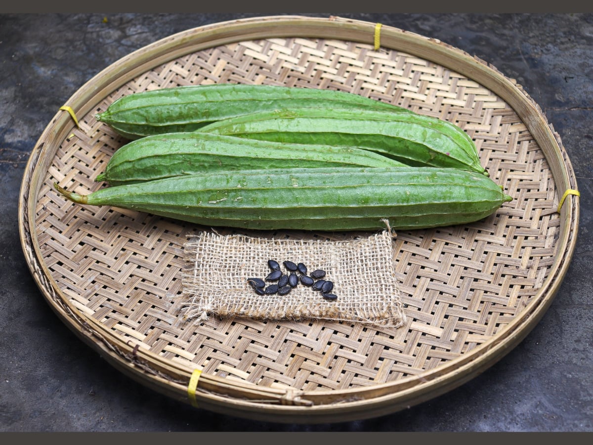 Ridge Gourd or Peerkangai Health Benefits | வெயிட் லாஸ் முதல் சுகர் ...