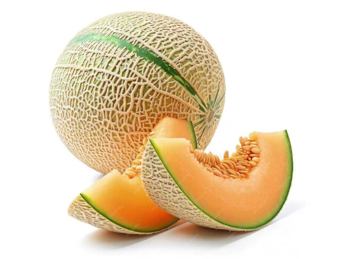 Amazing health benefits of eating Muskmelon seeds | தினமும் முலாம் பழ ...