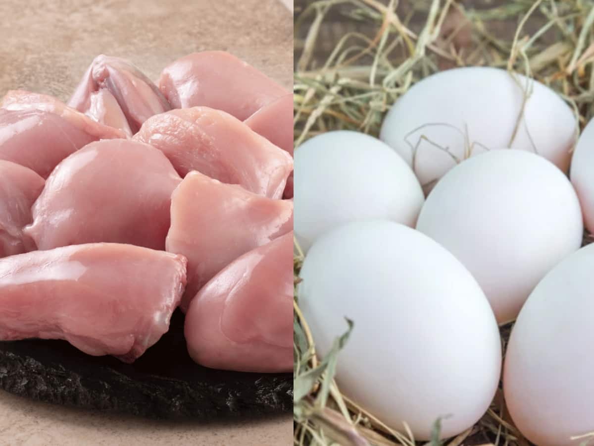 Chicken Vs Eggs Which Food Has More Protein Heres All You Need To Know ...