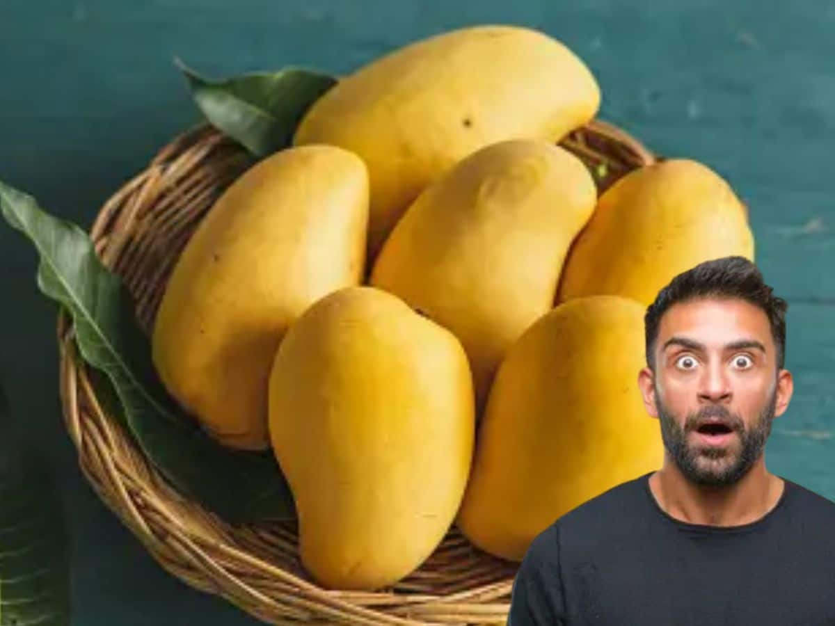 Disadvantages Of Eating More Than One Mango Per Day Read About The Side ...