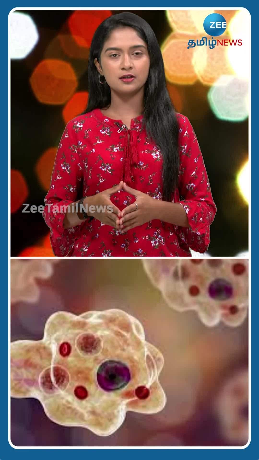 How Bacterial Infection Caused by Brain-eating Amoeba Spreads | மூளையை ...