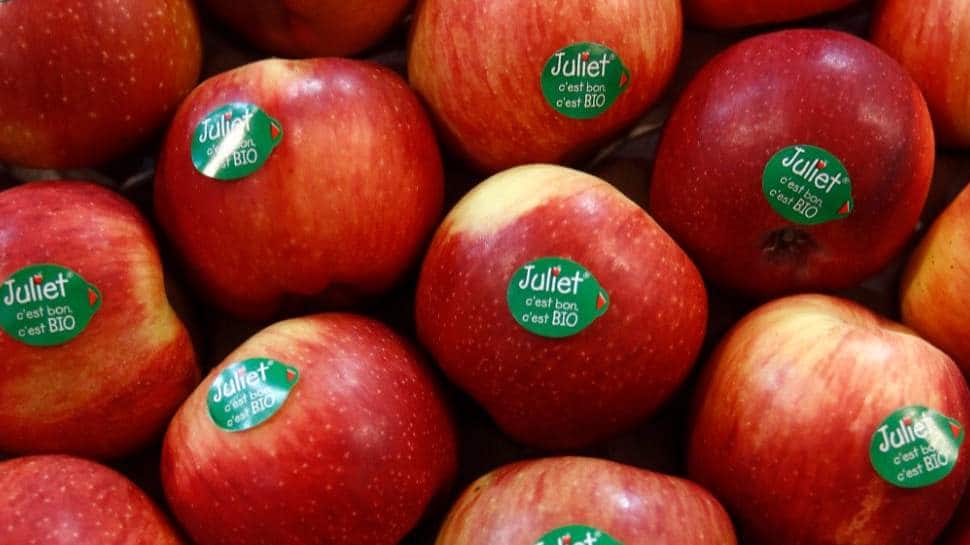 Do You Know Why Only Some Apples Have Stickers This Is The Reason | சில ...