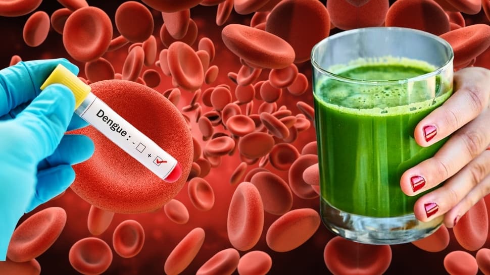 Drink Suggested by Ayurvedic Doctor for Dengue Fever Patients to ...