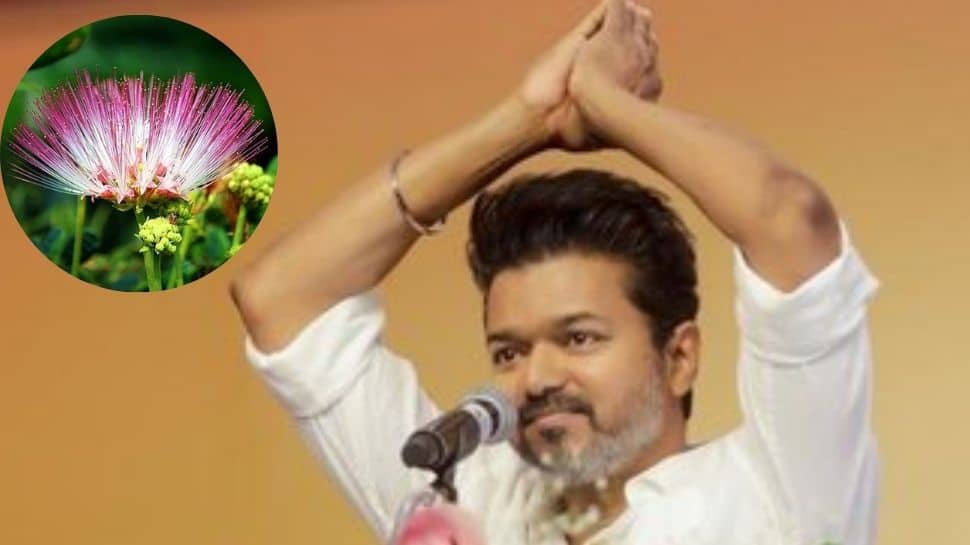 Latest News Actor And Politician Vijay To Introduce Tamilaga Vettri ...