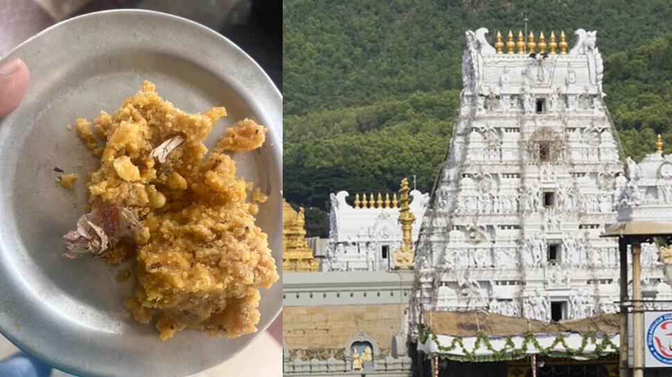 Big Shock For Devotees Gutka Packet Cigarette Bud Found In Tirupati ...