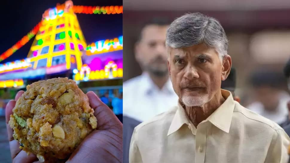 Supreme Court Asked Hard Questions Andhra CM Chandrababu Naidu On Tirupati Laddu Contaminated ...