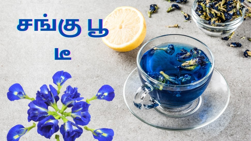 Numerous Benefits of Blue Tea or Saghu Poo tea | வெயிட் லாஸ் முதல் ...