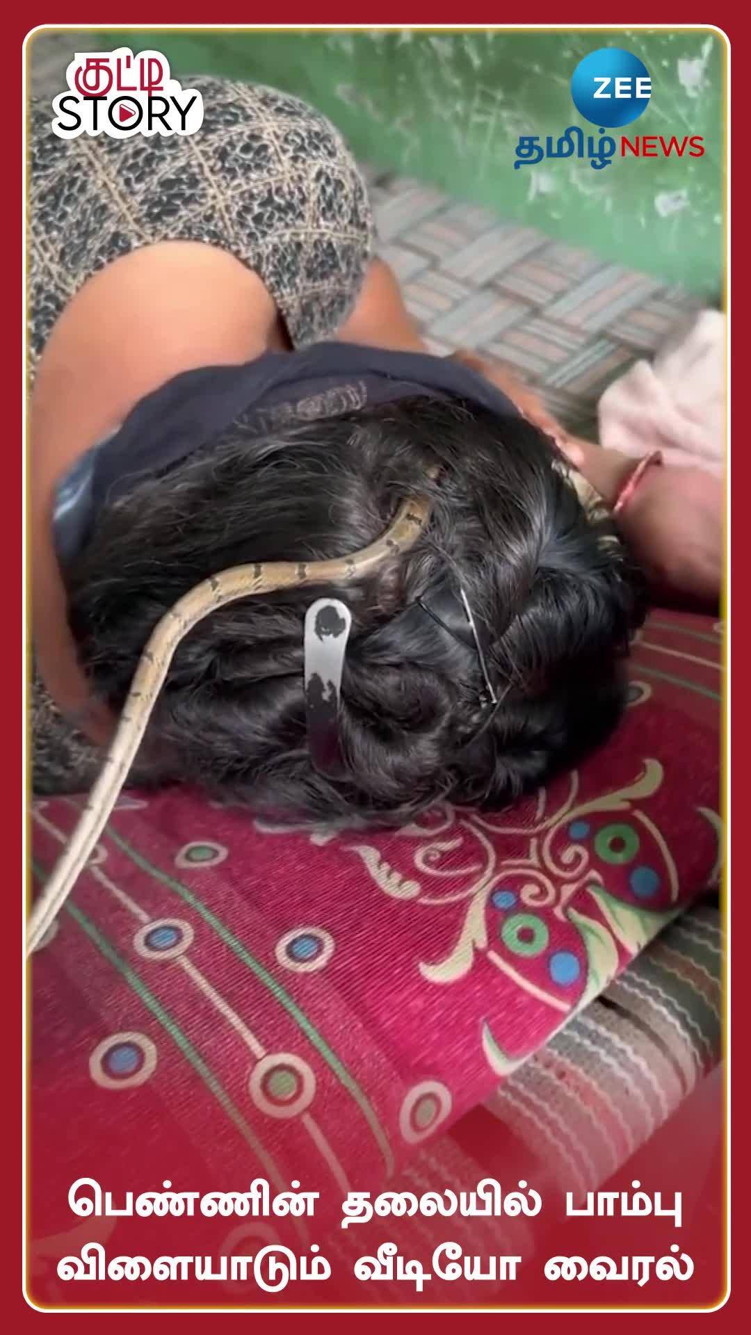 Chilling Snake Viral Video: Snake Moves Through Hair of Sleeping Woman ...
