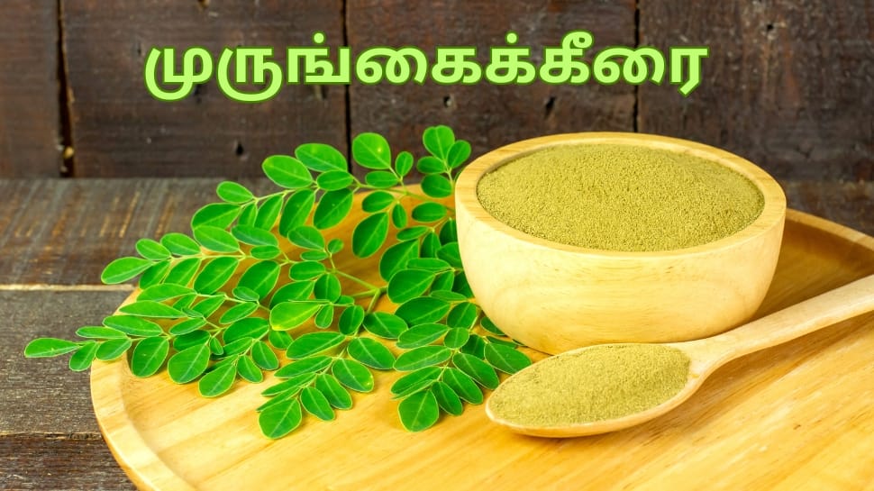 Numerous Health Benefits of Murungai Kerai or Drumstick Leaves | நரம்பு ...