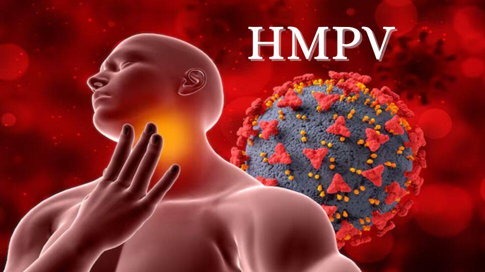 HMPV Virus Latest News: Which Part Gets Affected First? What are the ...
