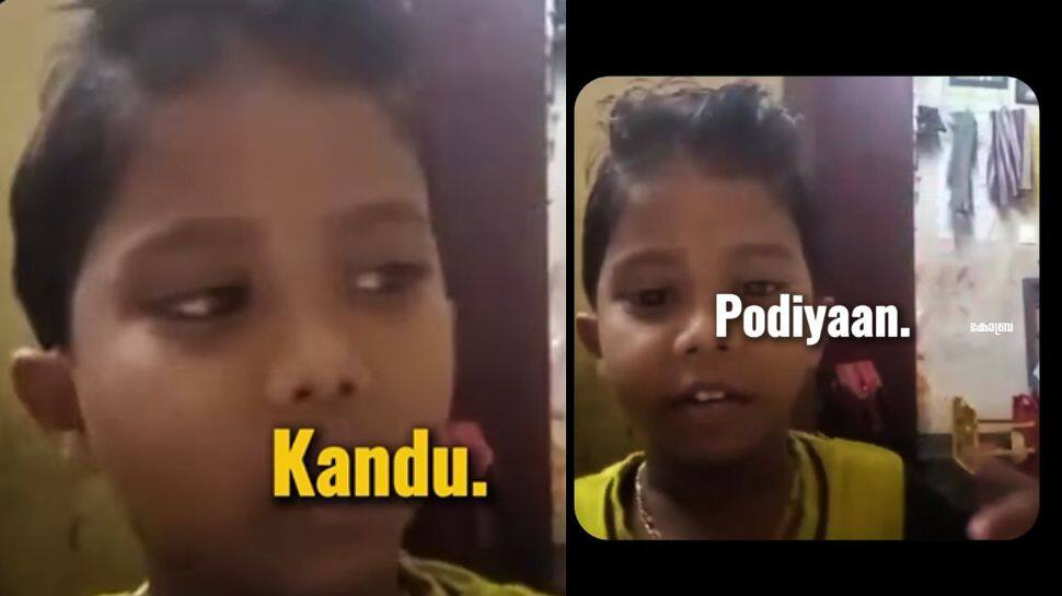 Clu Close Podi Viral Video Of A Small Boy Going Around On Social Media ...