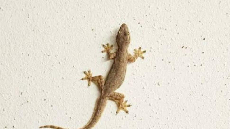 Here What You Need To Know For Sure About The Benefits Of Having A ...