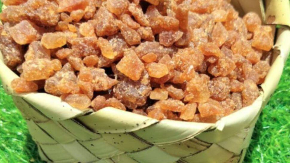 Eating Panam Kalkandu Is An Herb That Protects The Body From The Summer ...