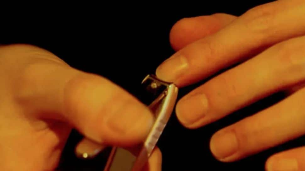 Here A Scientific Secret To Explain Why You Should Avoid Cutting Your ...
