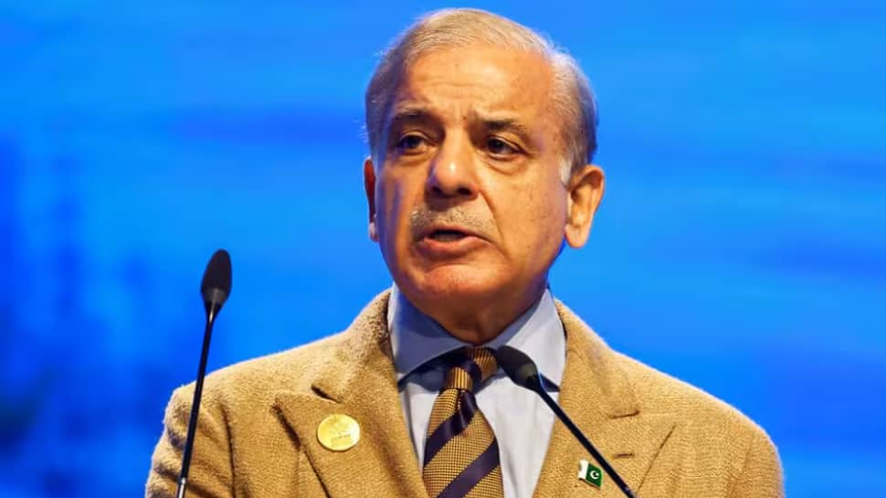 Pakistan Prime Minister Shehbaz Sharif Contradiction And Confusion ...