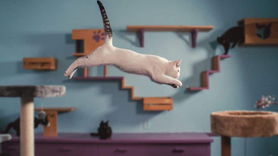 Enjoy The Amazing Animated World Of Animal Stories For Kids On Netflix ...