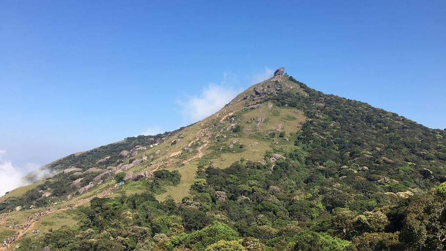 Big Update For Tourists Climbing Velliangiri Mountain Banned Death Toll ...
