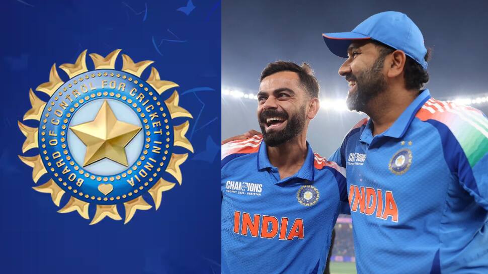Do You Know How Much Revenue BCCI Earned In One Year And IPL ...