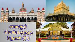 Mysore News in Tamil, Latest Mysore news, photos, videos | Zee News Tamil