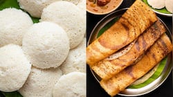 Idli Podi News in Tamil, Latest Idli Podi news, photos, videos | Zee ...