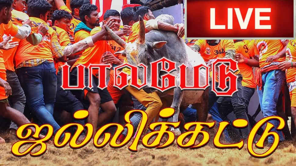 Tamil Nadu Today Live News Palamedu Periya Suriyur Jallikattu Mattu ...