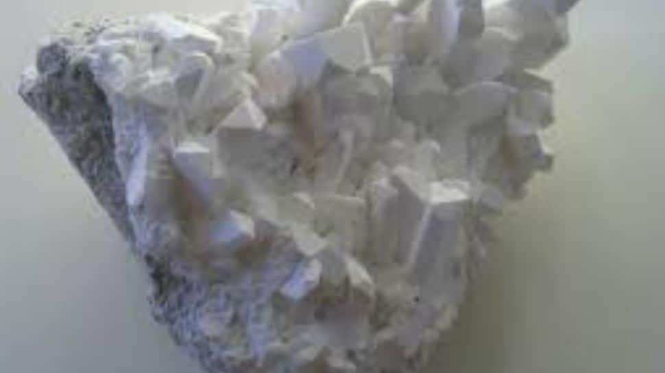 Is Vengaram Reducing Weight Doctors Explains About Borax Health Risks ...