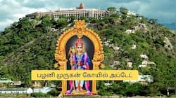 Palani Murugan Temple News in Tamil, Latest Palani Murugan Temple news ...