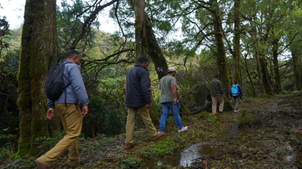 Trek Tamil Nadu Yercaud Gundur Limestone Cave Trekking TN Government ...