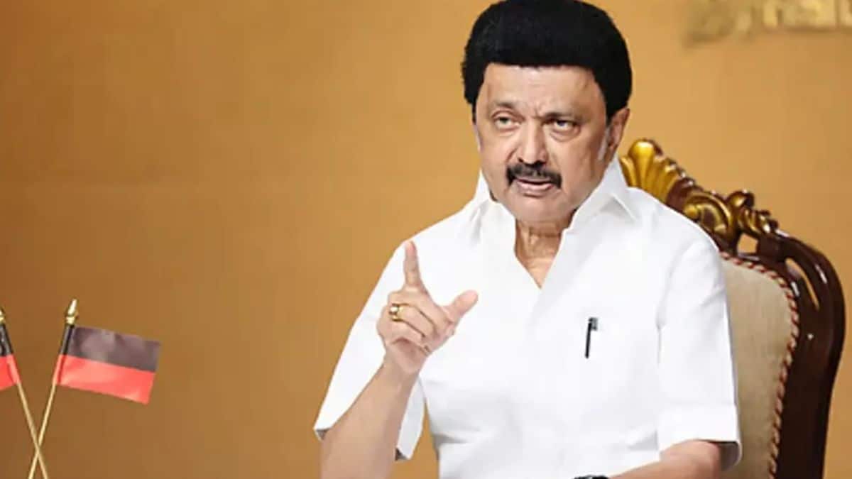 DMK Alliance Seat Sharing Full List Of VCK Congress CPI CPM And Other ...