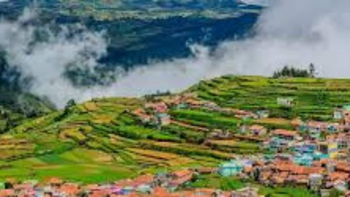 Ooty Tour Package Latest Rs 1000 For One Day Trip Food Tea Include ...
