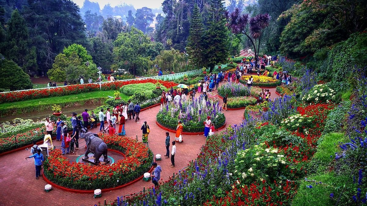 Ooty Tour Package Latest Rs 1000 For One Day Trip Food Tea Include ...