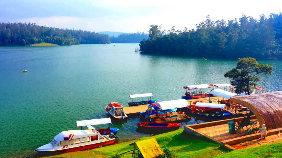 Ooty Tour Package Latest Rs 1000 For One Day Trip Food Tea Include ...