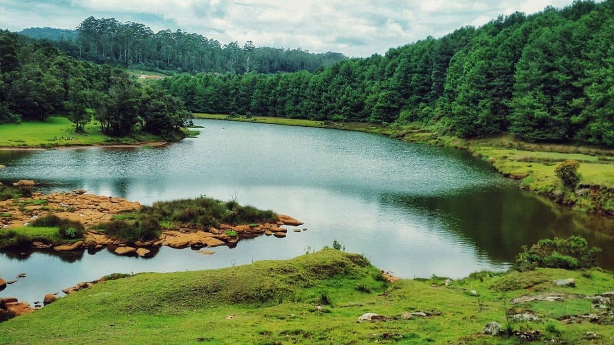 Ooty Tour Package Latest Rs 1000 For One Day Trip Food Tea Include ...