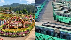 Ooty News in Tamil, Latest Ooty news, photos, videos | Zee News Tamil
