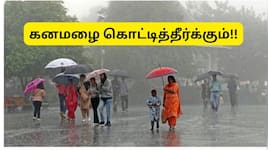 Vanakkam News in Tamil, Latest Vanakkam news, photos, videos | Zee News ...