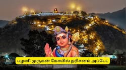 Palani Murugan Temple News in Tamil, Latest Palani Murugan Temple news ...
